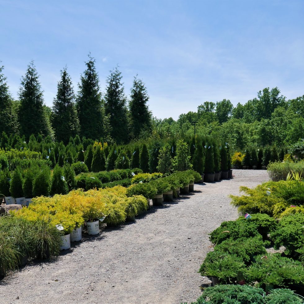 GARDEN CENTER - Suncrest Gardens